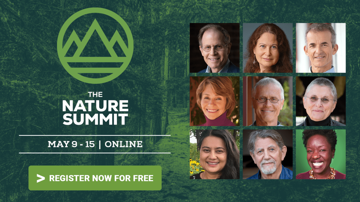 The Nature Summit - Mark Coleman